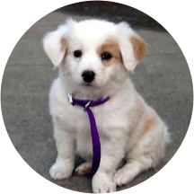 Dr. Jake (Test 2) Kushner, MD, New York, NY | Pediatric Dermatologist