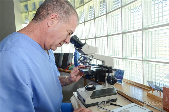 Dr. Roger Altman, MD, FAAD | Roger Wm. Altman MD, Dermatology and Skin ...